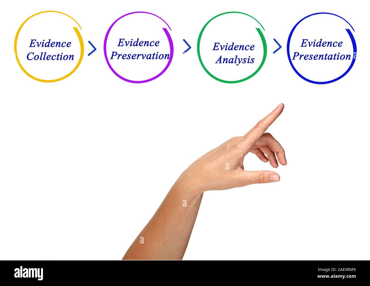 Preservation evidence Cut Out Stock Images & Pictures - Alamy