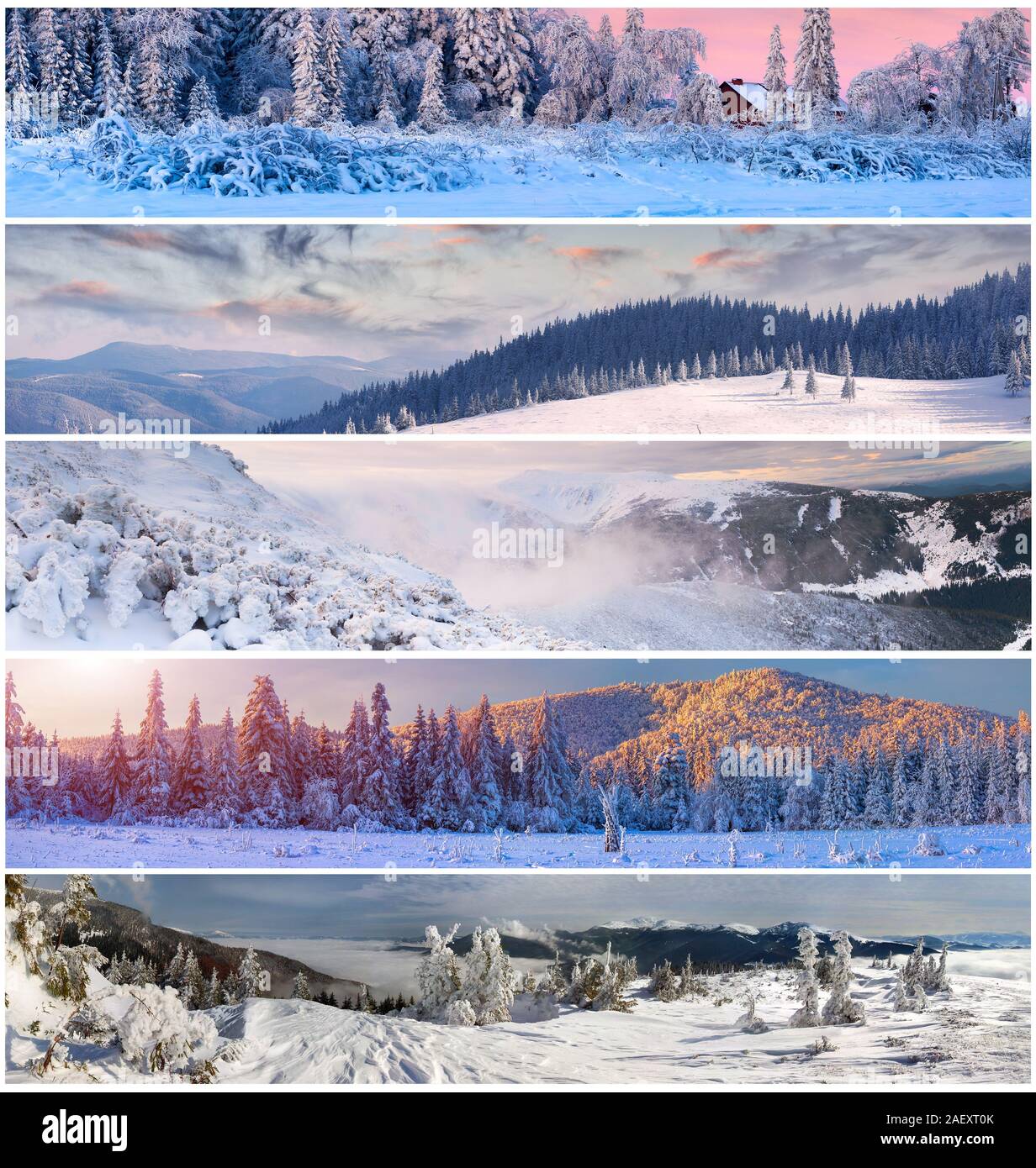 Winter collage with 5 different Christmas landscape for banners Stock ...