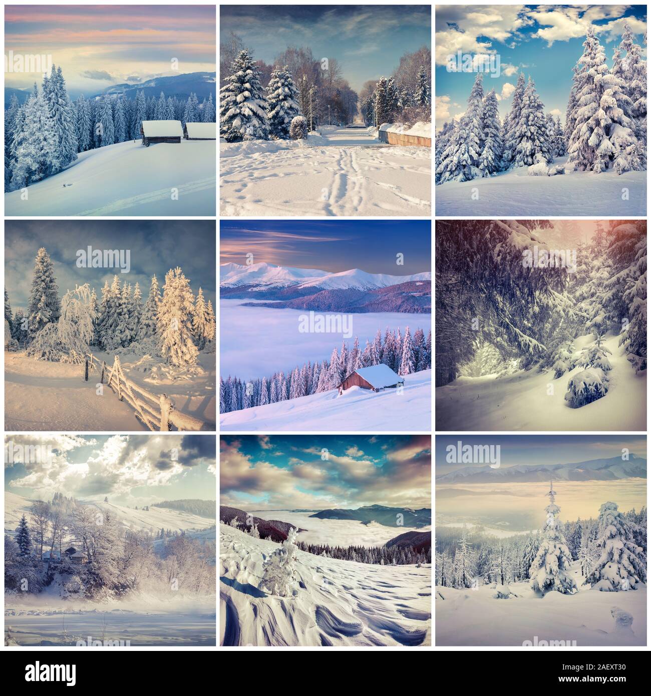 Winter collage with 9 square Christmas landscapes. Carpathian region ...
