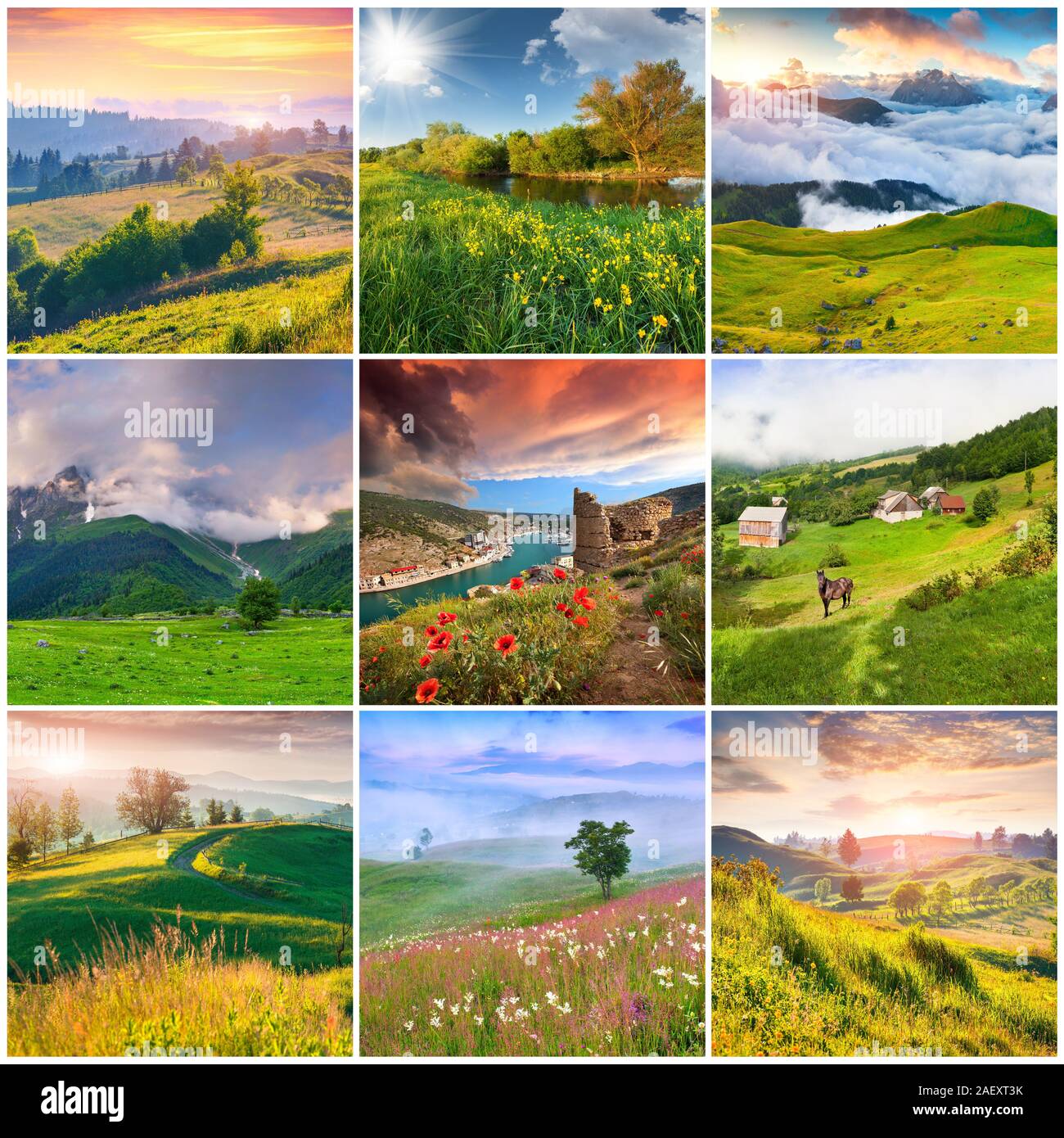 Collage with 9 square summer landscapes Stock Photo - Alamy