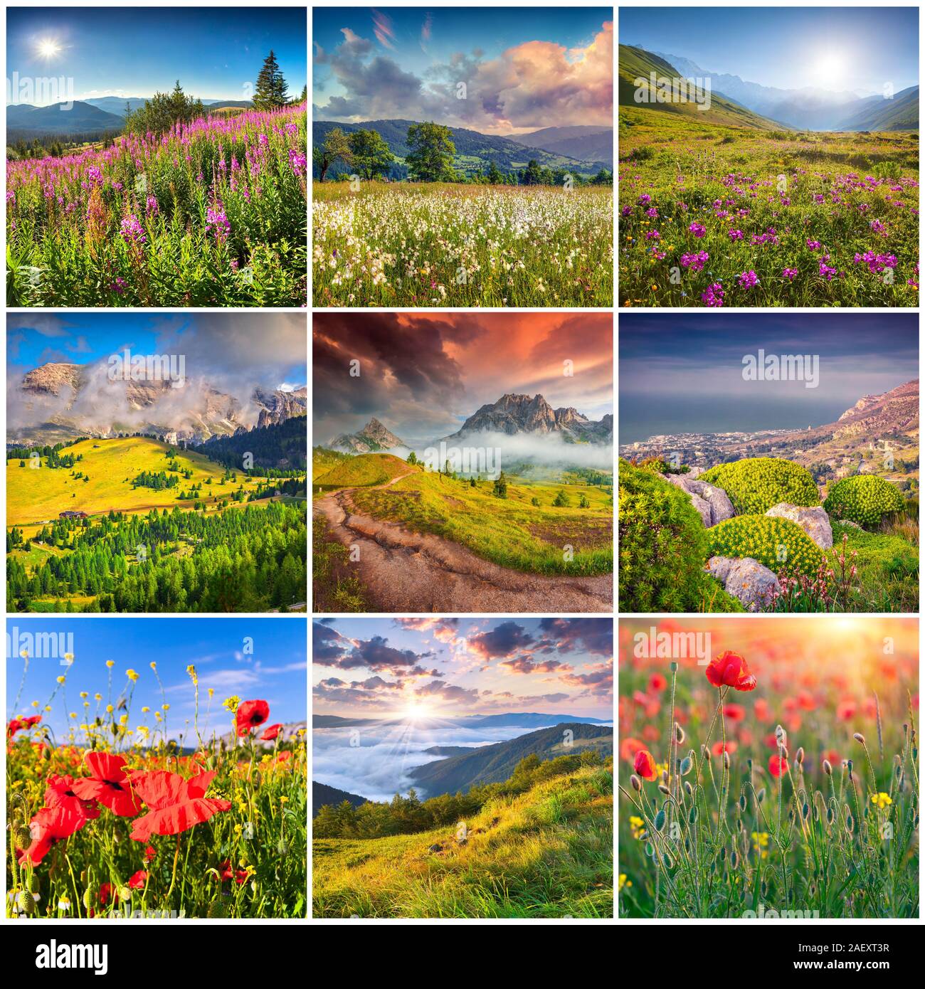Collage with 9 square summer landscapes Stock Photo - Alamy