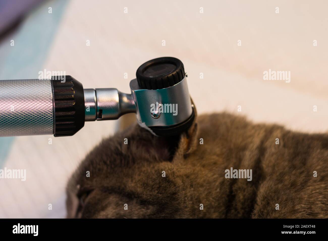 Otoscopic hi-res stock photography and images - Alamy