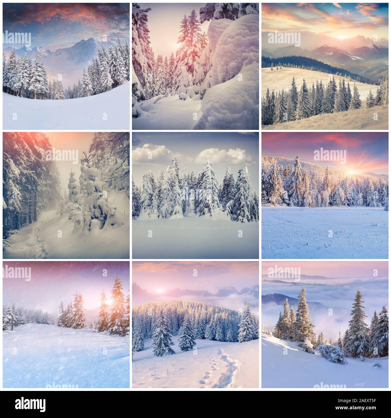 Winter collage with 9 square Christmas landscapes. Carpathian region ...