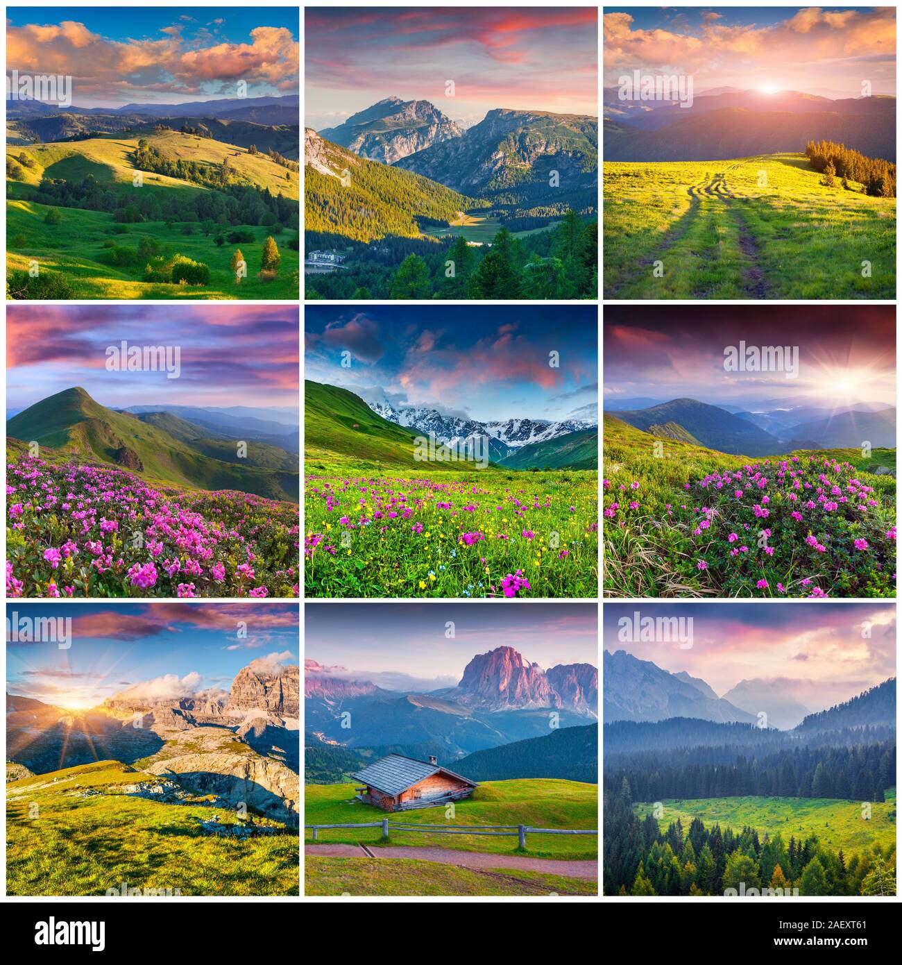 Collage with 9 square summer landscapes Stock Photo - Alamy