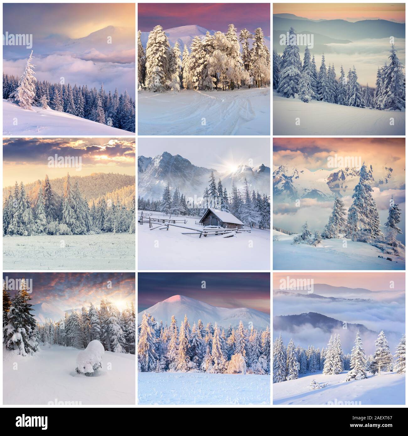 Winter collage with 9 square Christmas landscapes. Carpathian region ...
