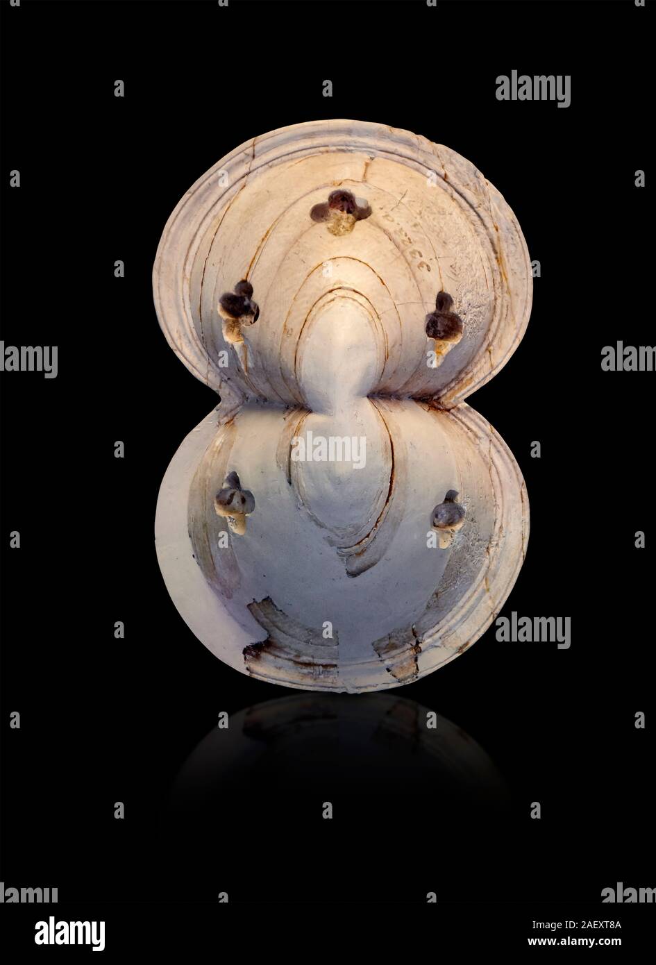 The shield still hi-res stock photography and images - Alamy