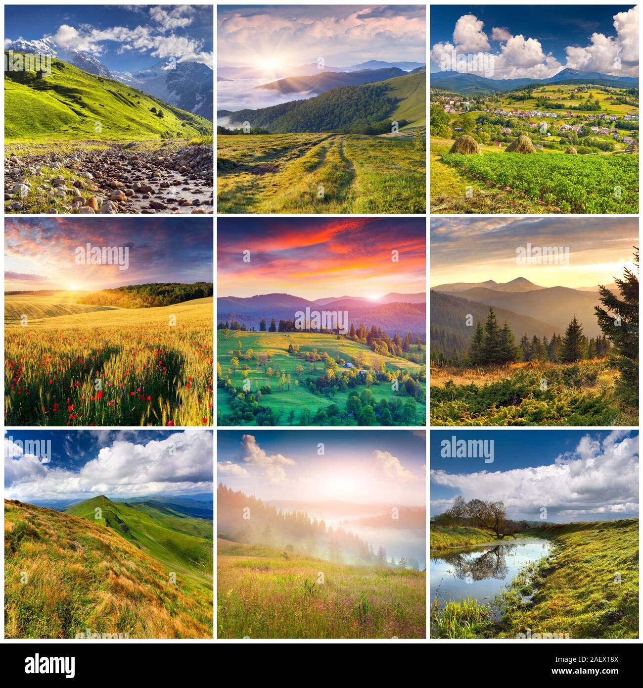 Collage with 9 square summer landscapes Stock Photo - Alamy