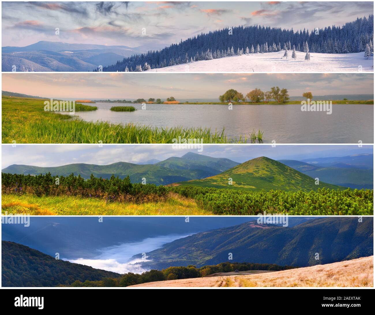 Forest green lake landscape Cut Out Stock Images & Pictures - Alamy