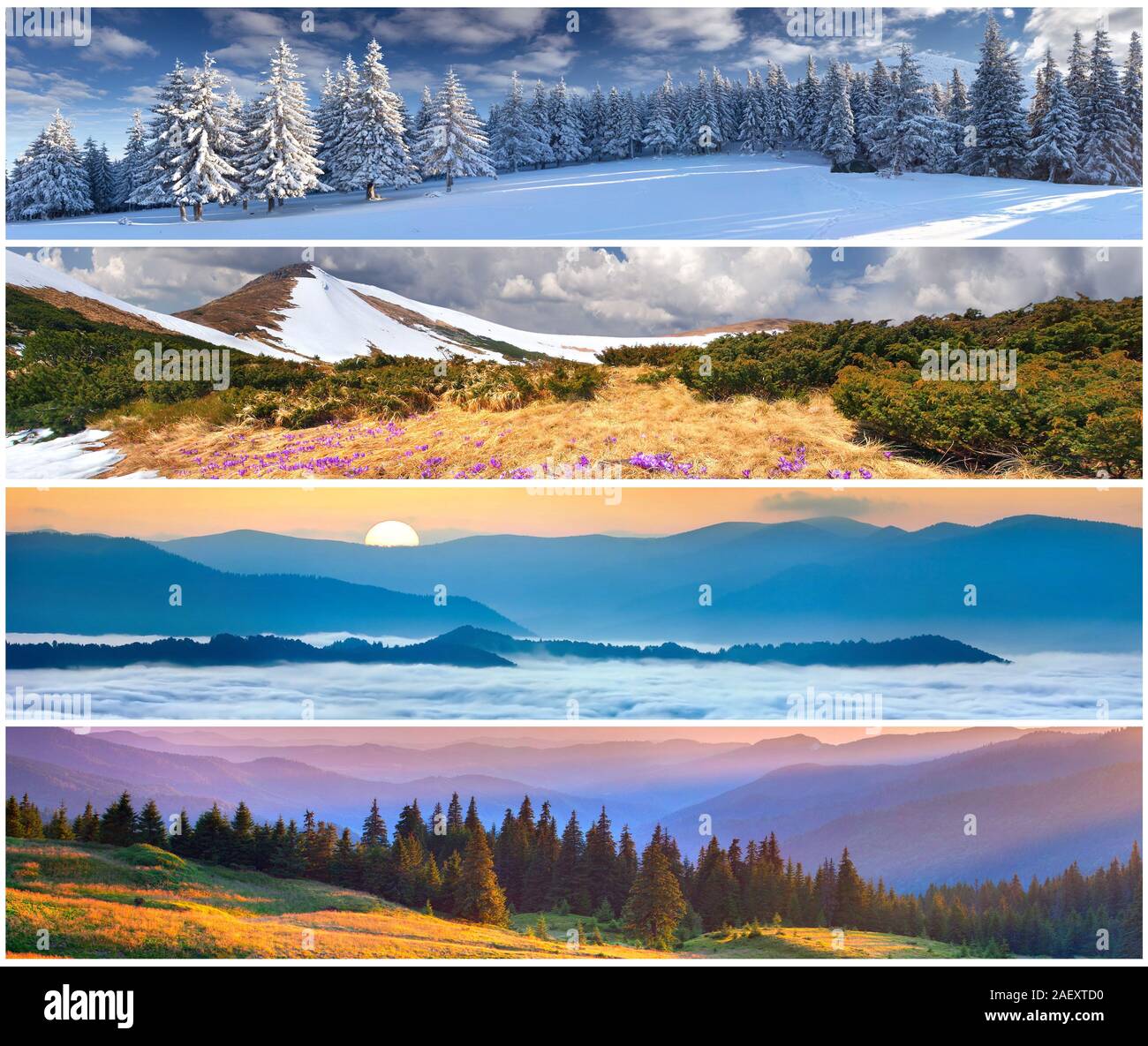 Set of the 4 seasons landscape for banners Stock Photo - Alamy