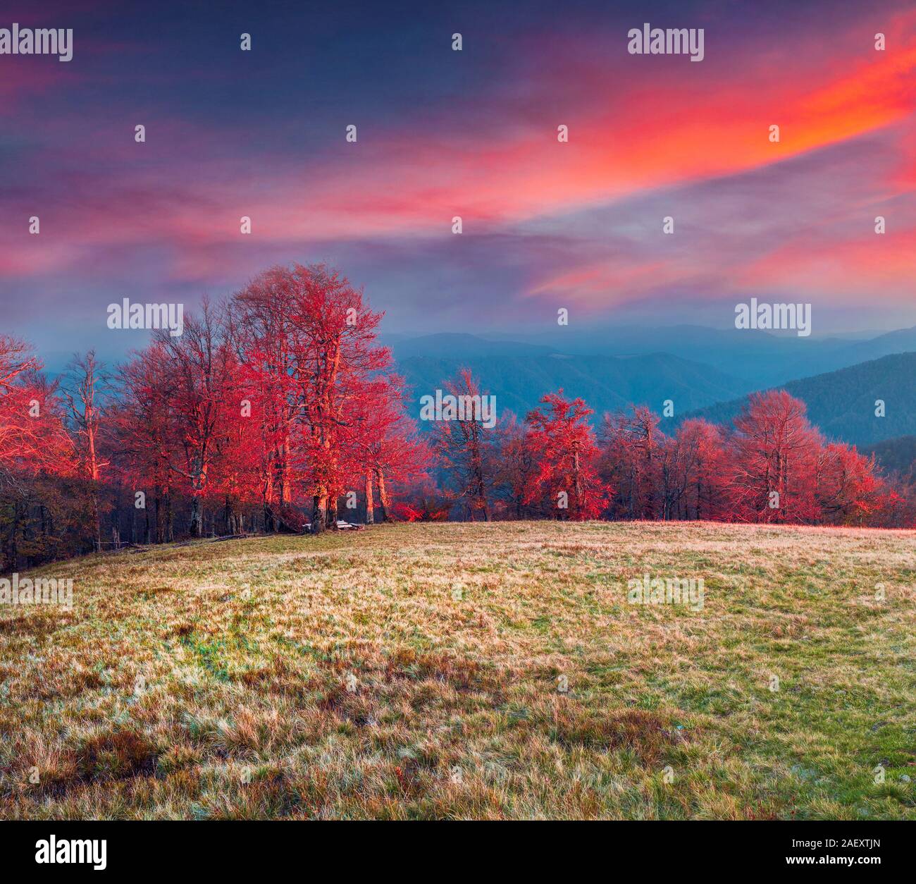 Krasna square hi-res stock photography and images - Alamy