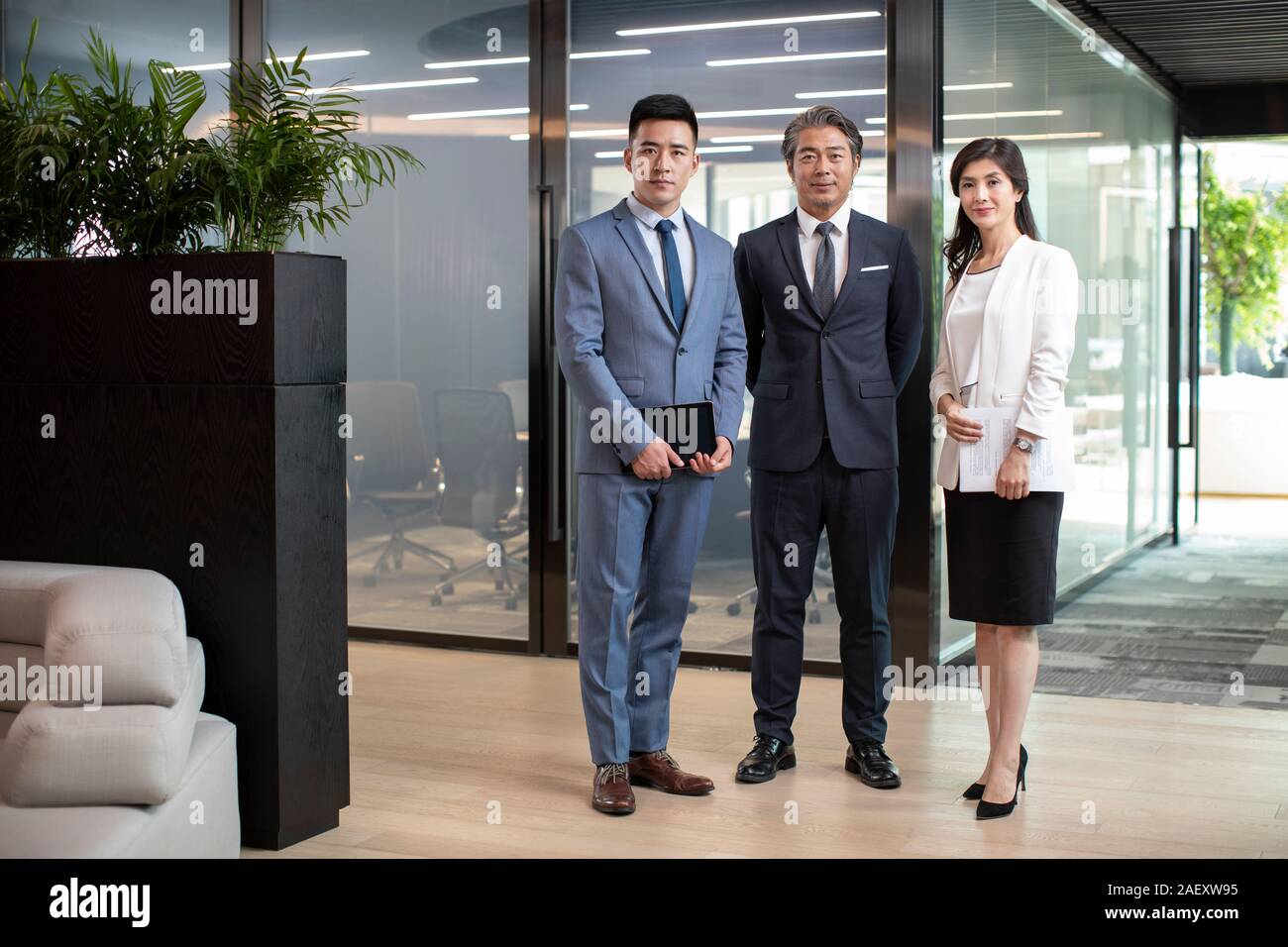 Portrait of successful business people Stock Photo - Alamy