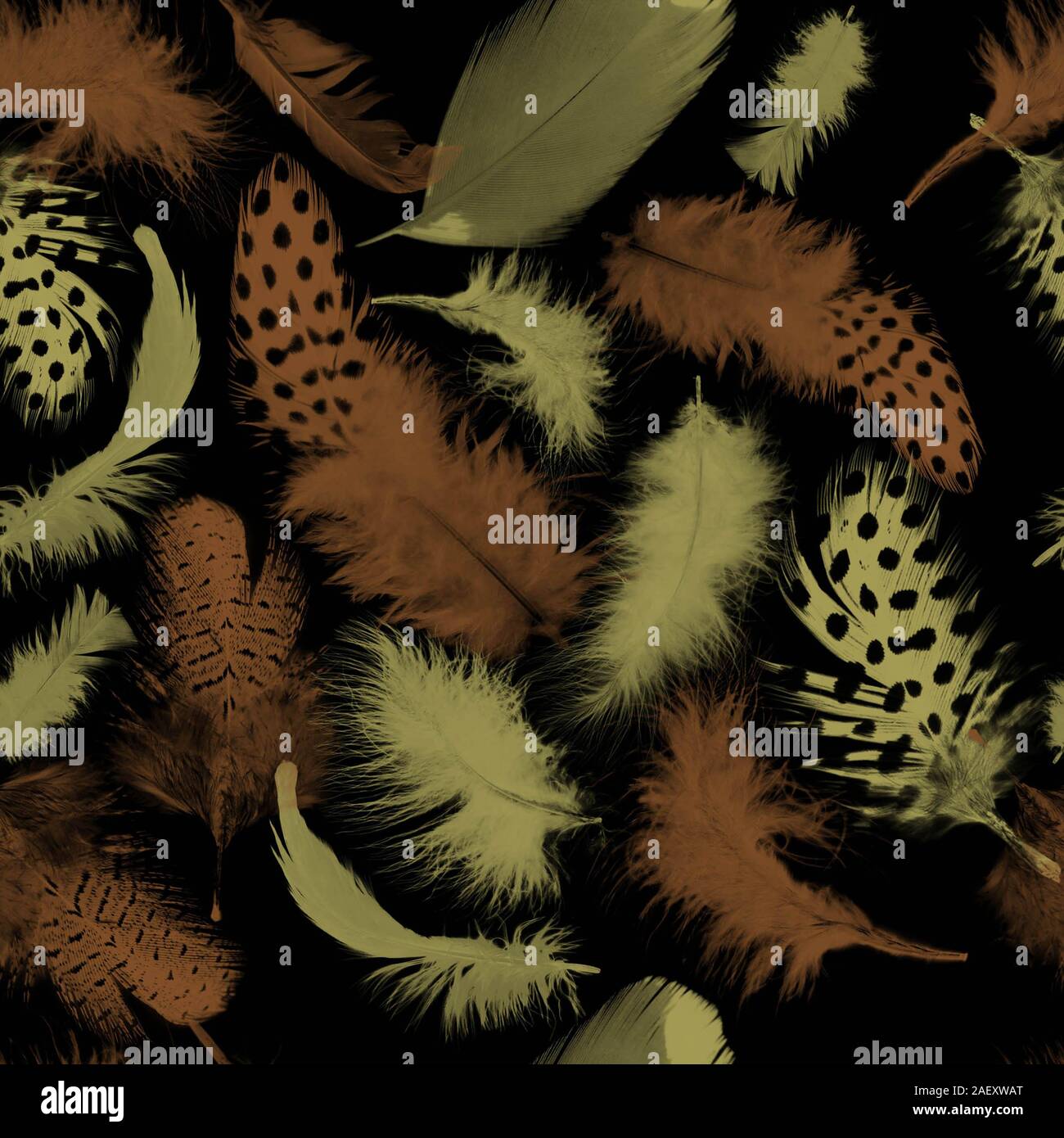 Repeating birds hi-res stock photography and images - Alamy