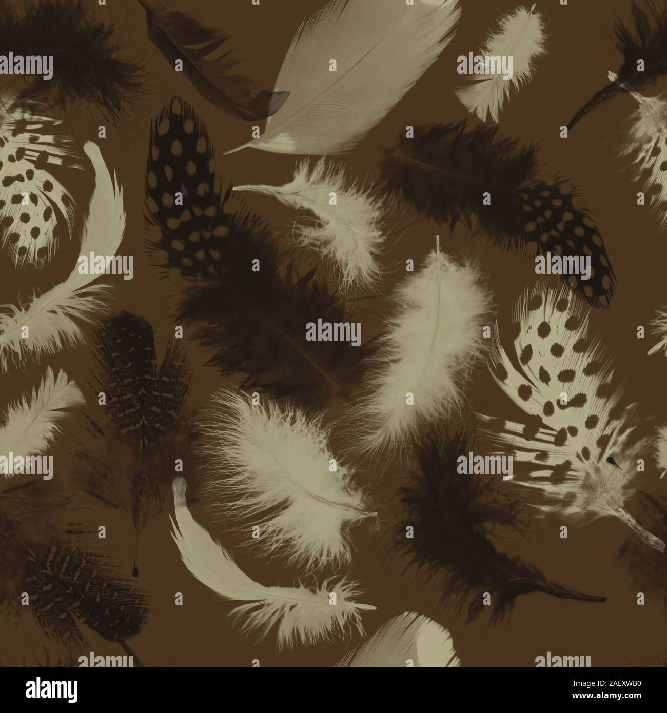 Feathers pattern.Seamless repeating animal texture. Natural background ...