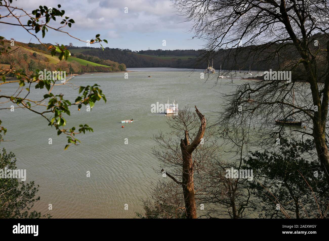 The River Fal looking upstream from the North Wood, Trelissick Estate ...