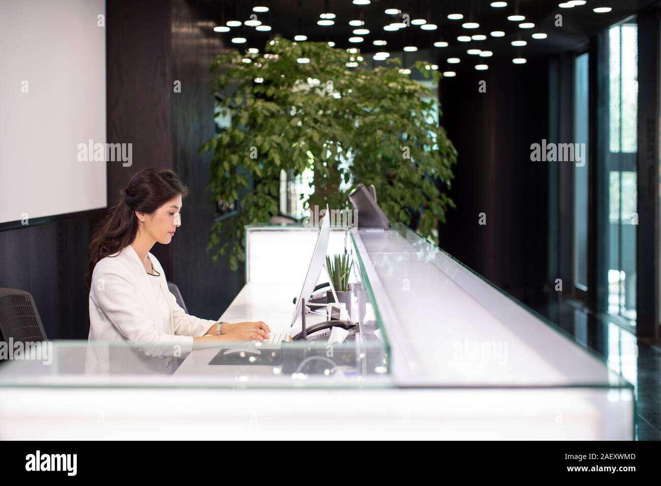 Reception desk using computer hi-res stock photography and images - Alamy