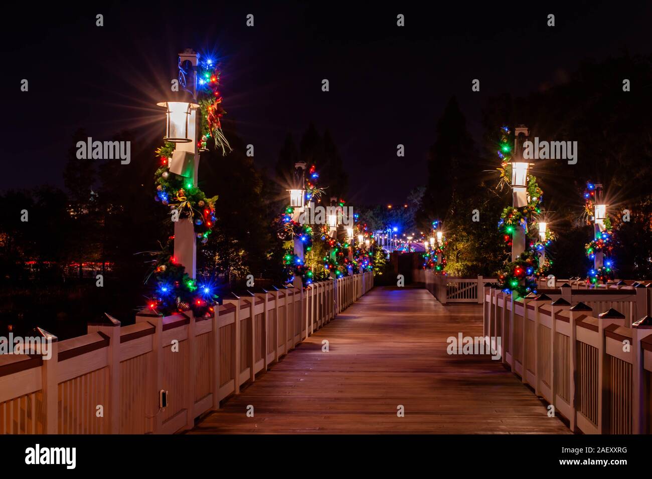 Orlando, Florida. November 29, 2019. in Lake Buena Vista Stock Photo ...