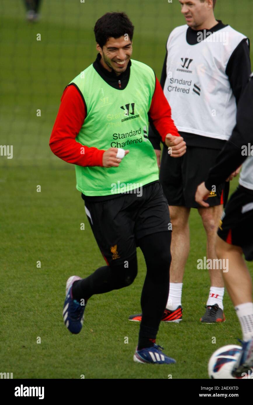 Liverpool, Uk Footballer Luis suarez training at Liverpool Melwood ...