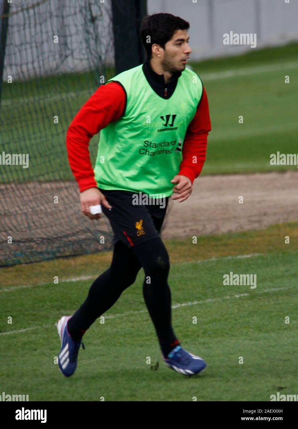 Liverpool, Uk Footballer Luis suarez training at Liverpool Melwood ...