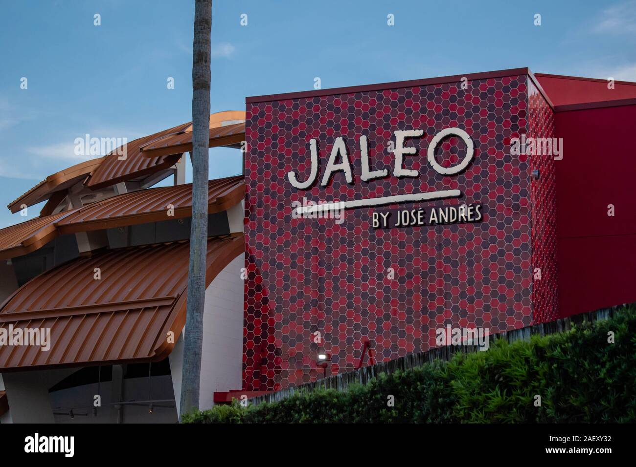 Orlando, Florida. November 29, 2019. Top view of Jaleo restaurant sign ...