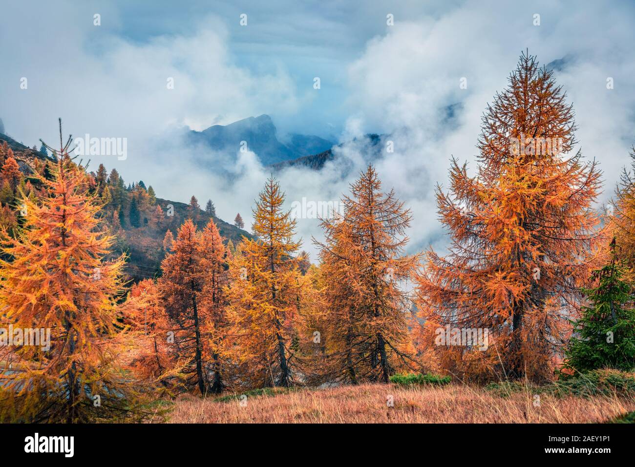 Yellow arch hi-res stock photography and images - Alamy