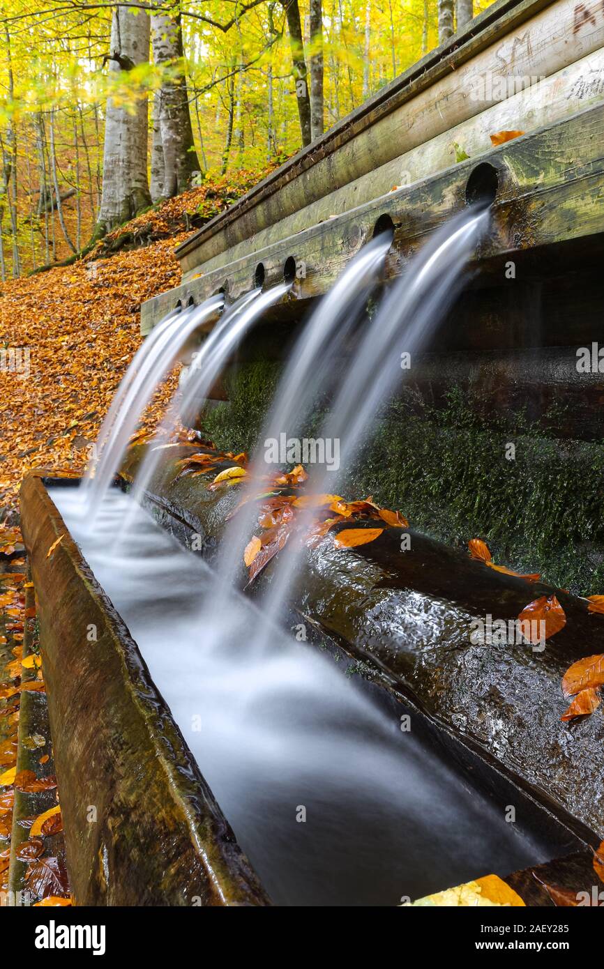Fountain in Yedigoller National Park, Bolu City, Turkey Stock Photo - Alamy