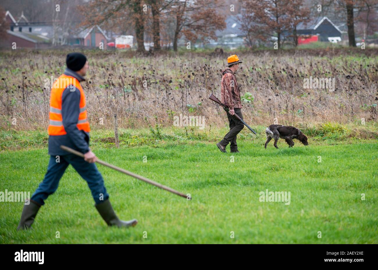 REUTUM, THE NETHERLANDS - DEC 07, 2019: Men with shotgun and sticks are ...