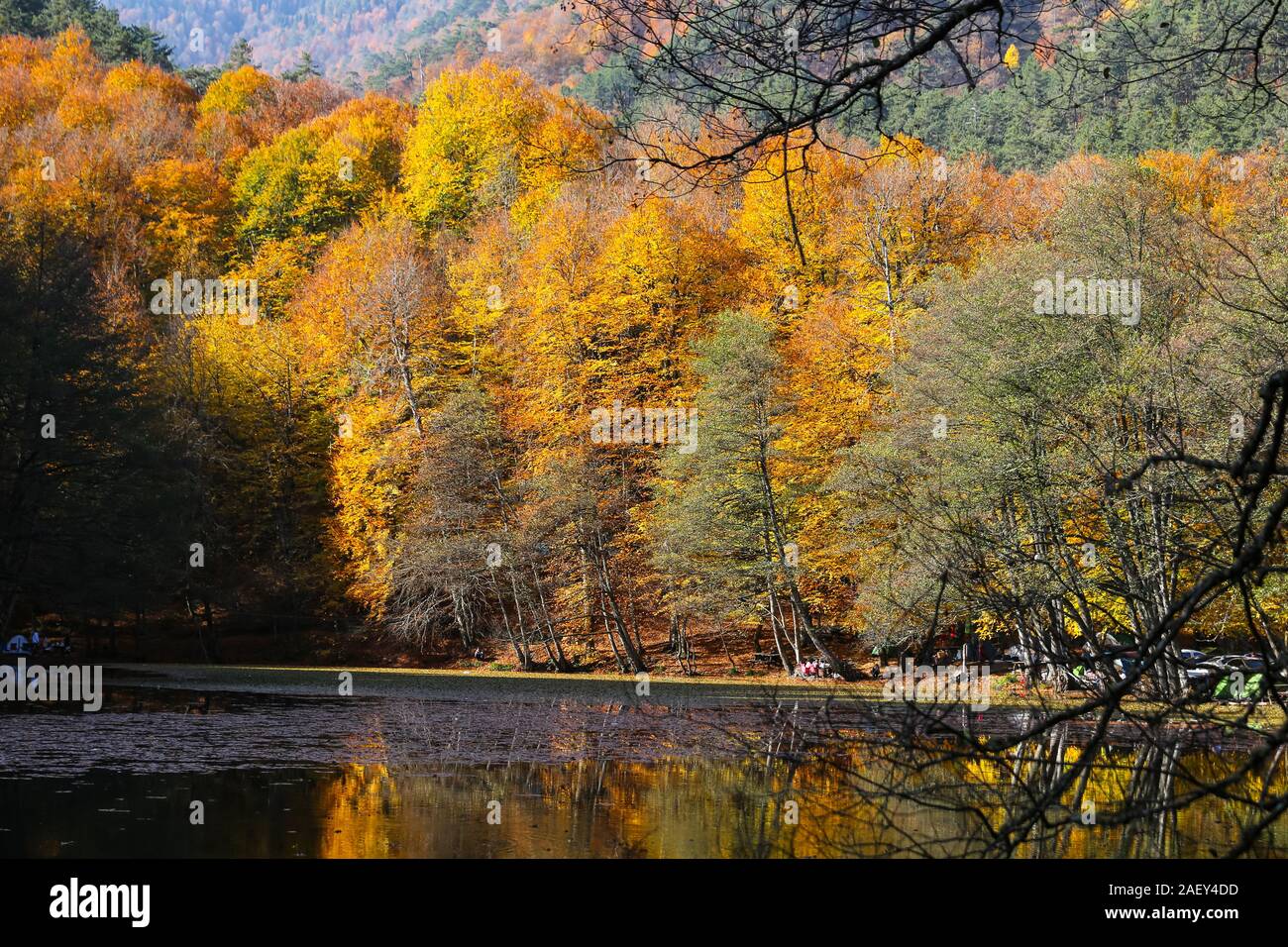 Derin Lake in Yedigoller National Park, Bolu City, Turkey Stock Photo ...