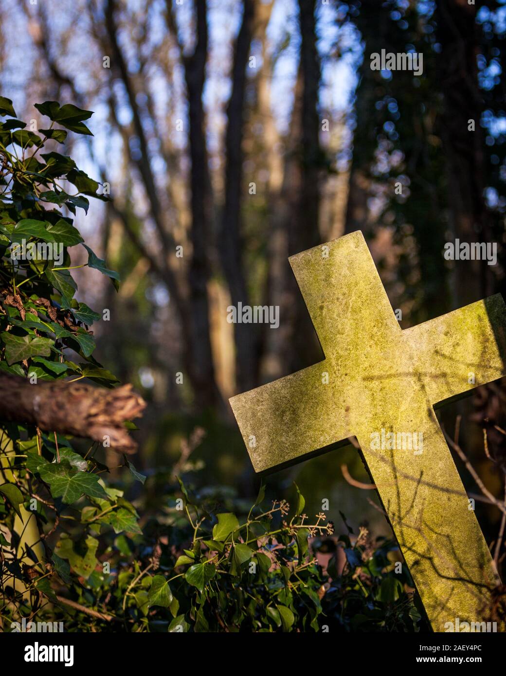 Crucifix grave stone. An overgrown graveyard in the late autumnal sun ...