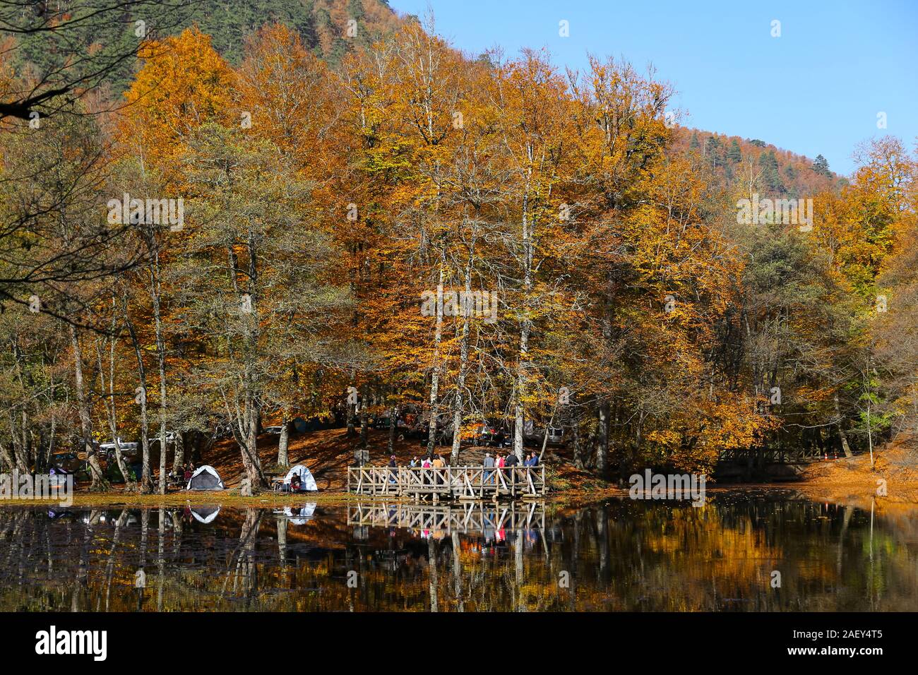 Derin Lake in Yedigoller National Park, Bolu City, Turkey Stock Photo ...
