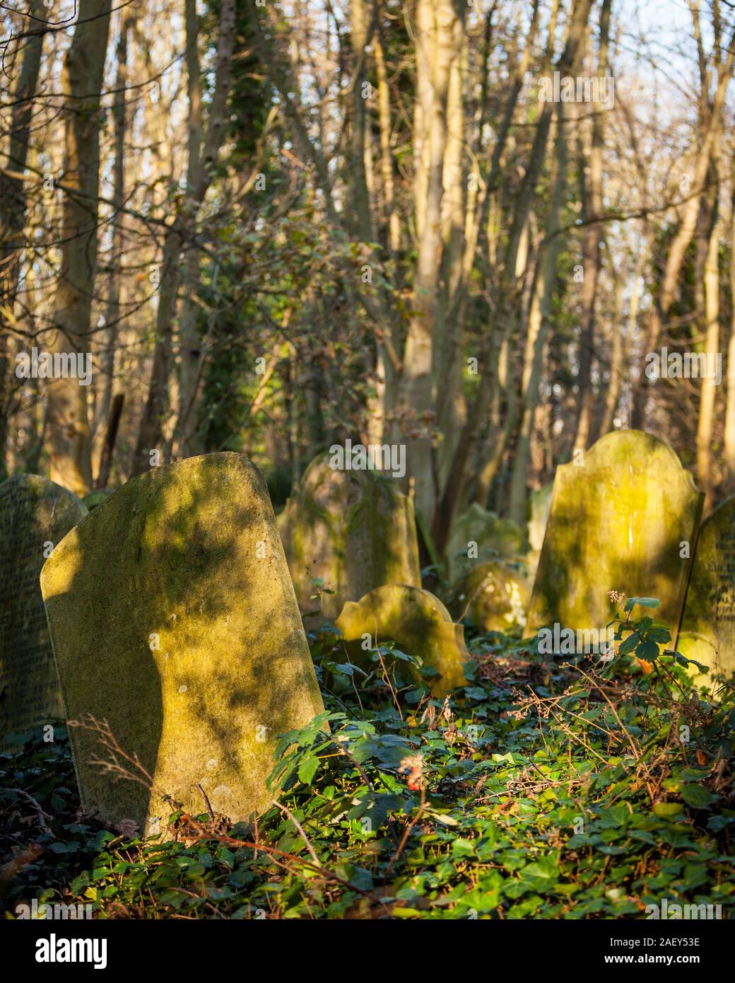 Old forgotten cemetery abandoned graves hi-res stock photography and ...