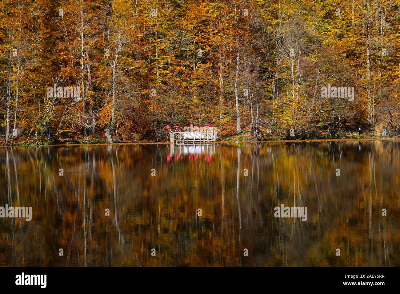 Buyuk Lake in Yedigoller National Park, Bolu City, Turkey Stock Photo ...