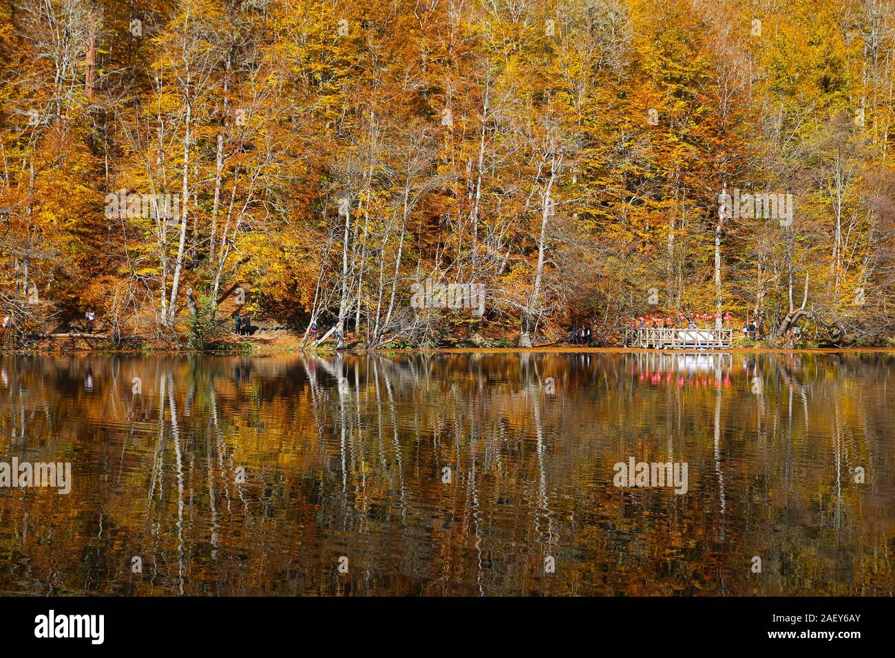 Buyuk Lake in Yedigoller National Park, Bolu City, Turkey Stock Photo ...