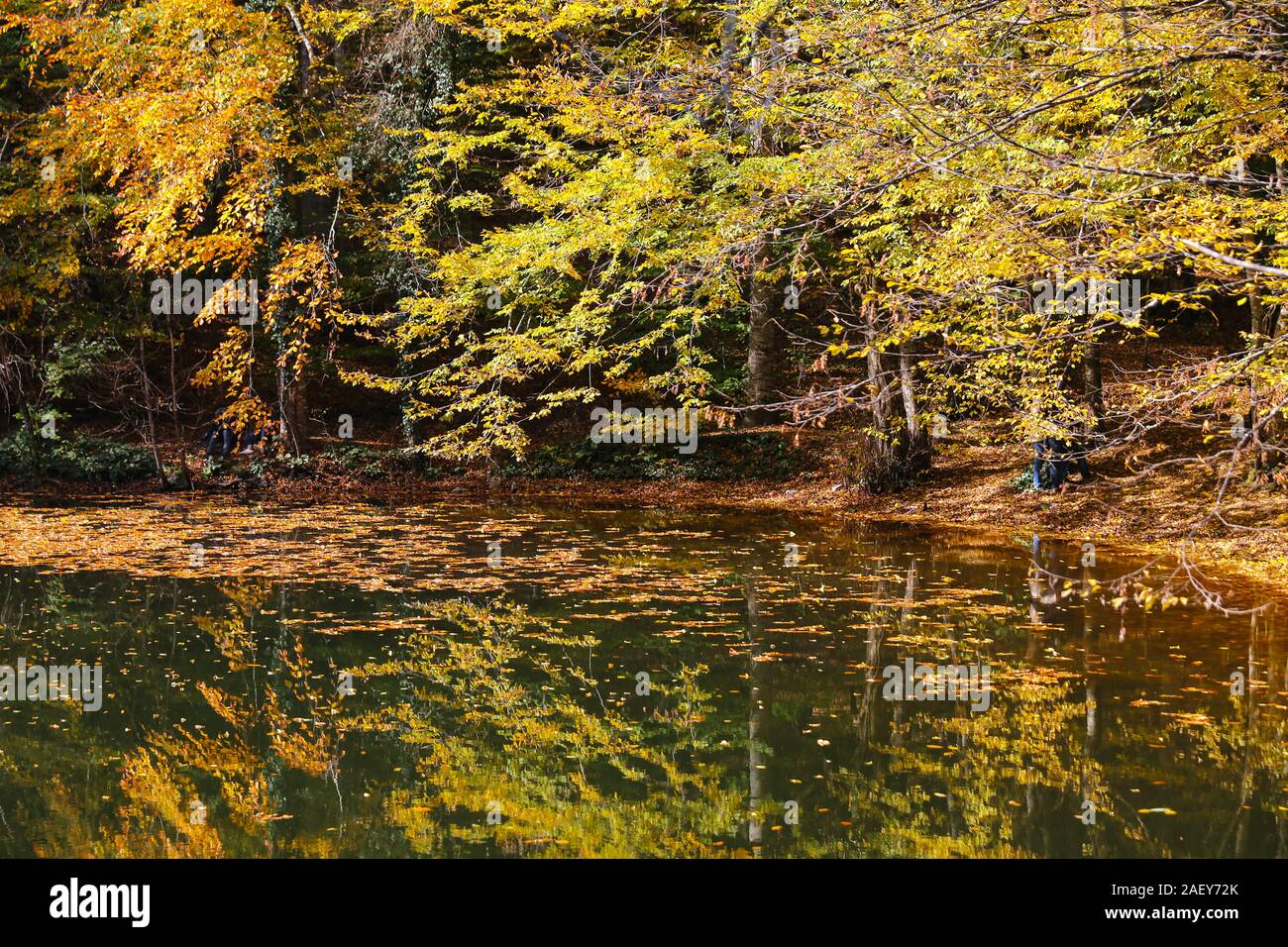 Buyuk Lake in Yedigoller National Park, Bolu City, Turkey Stock Photo ...