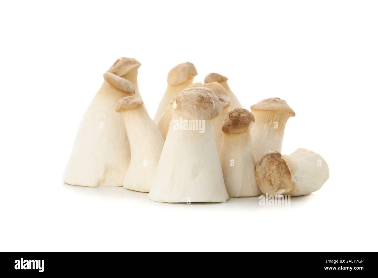 Fresh eringi mushrooms isolated on white background Stock Photo - Alamy