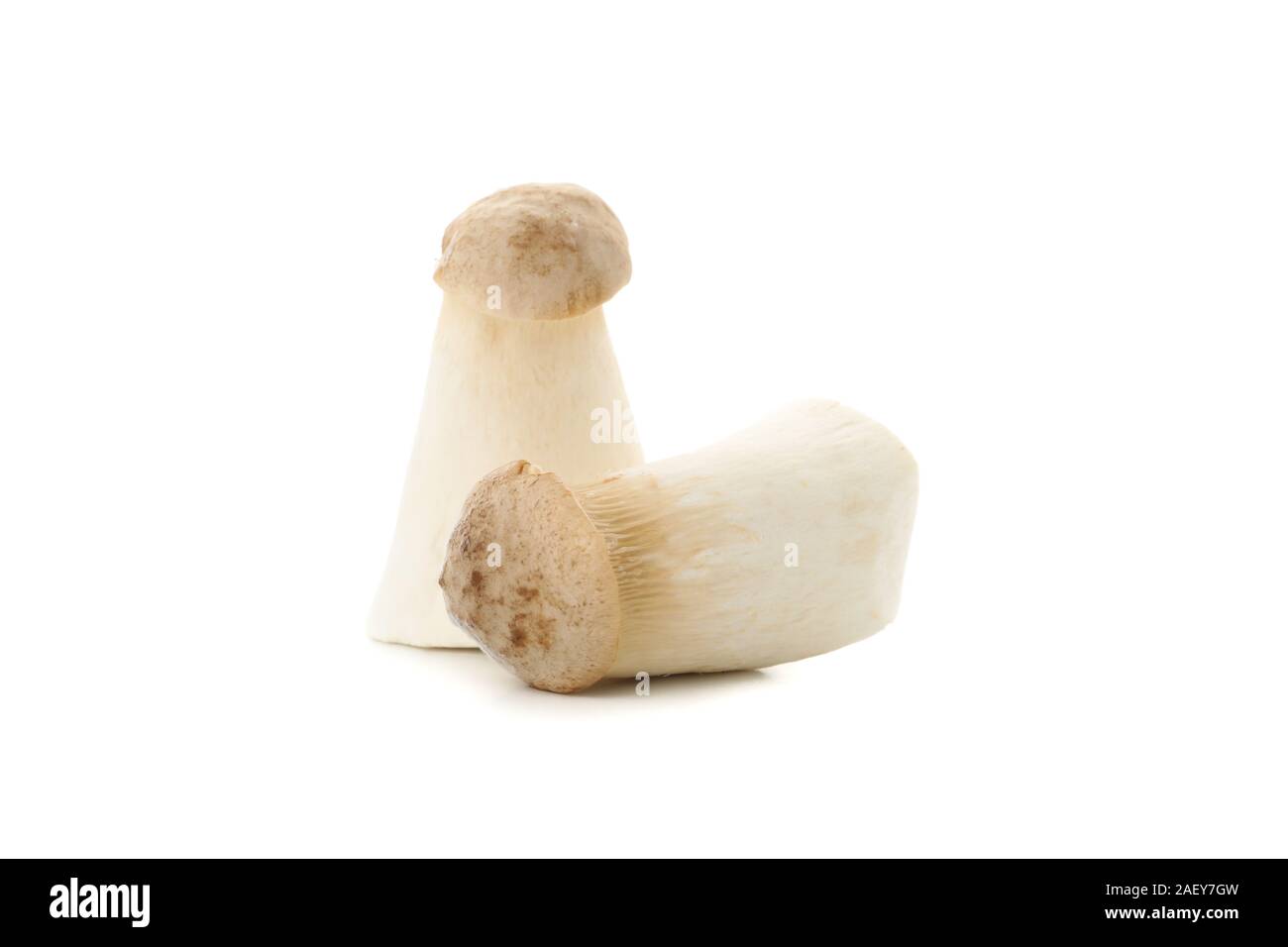 Fresh eringi mushrooms isolated on white background Stock Photo - Alamy