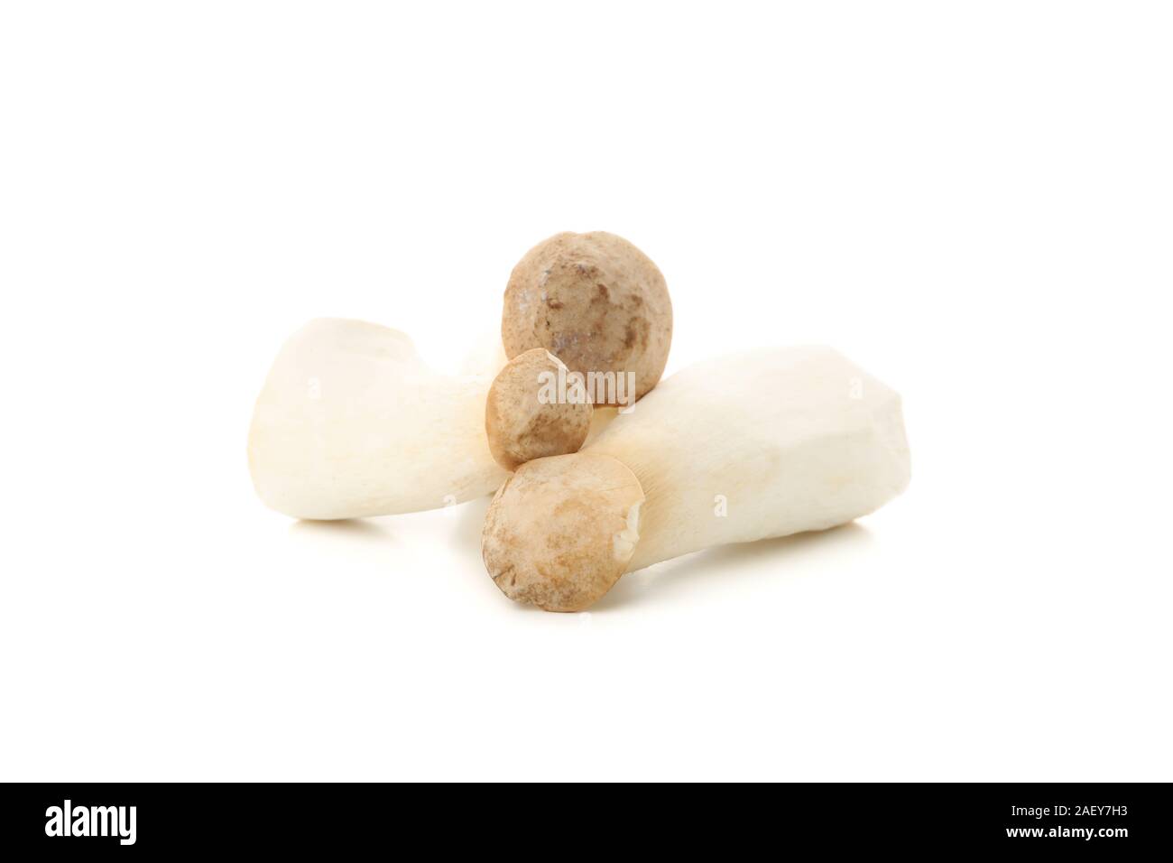 Eringi mushrooms hi-res stock photography and images - Alamy