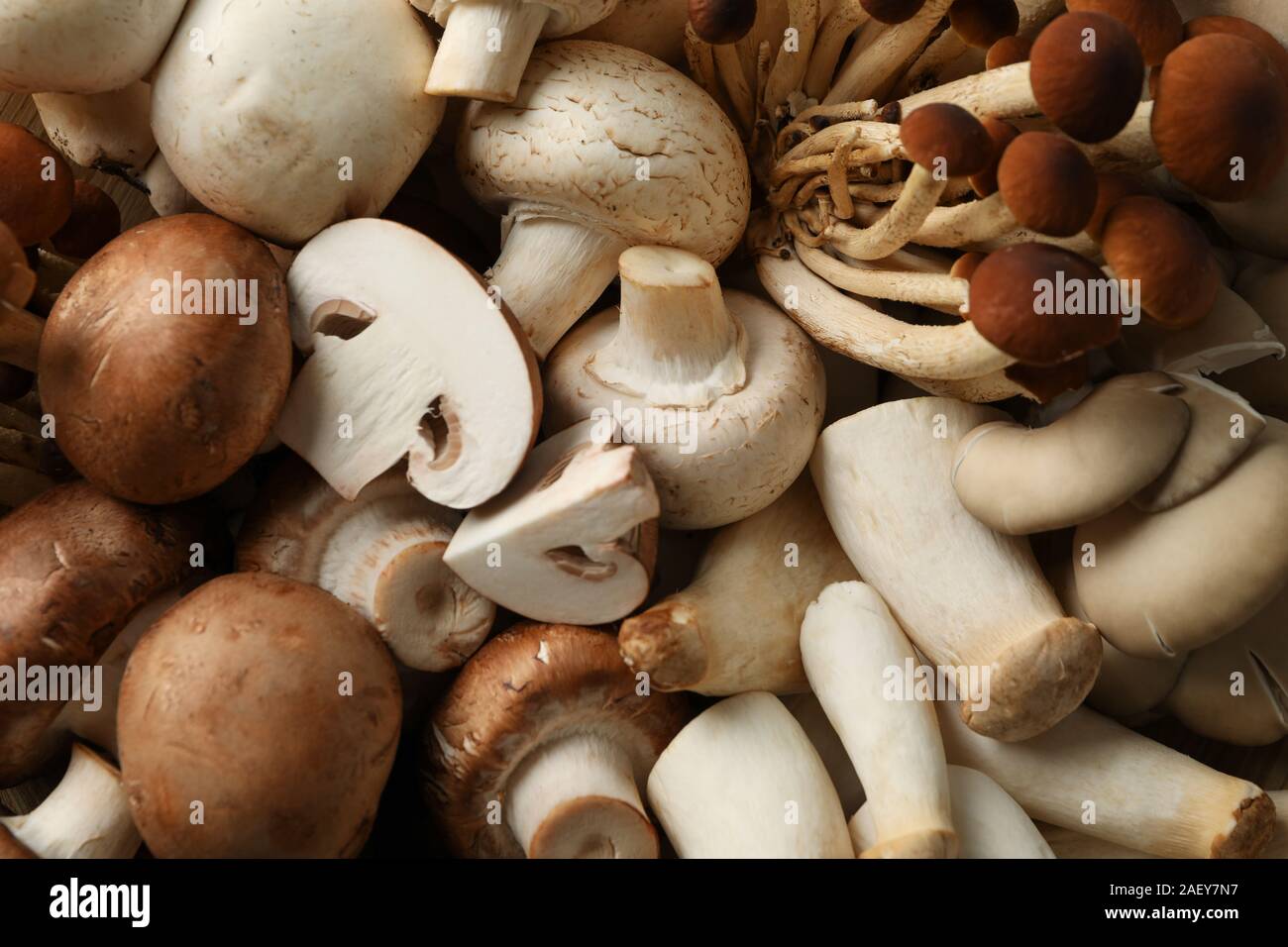Different mushrooms textured background, close up Stock Photo - Alamy