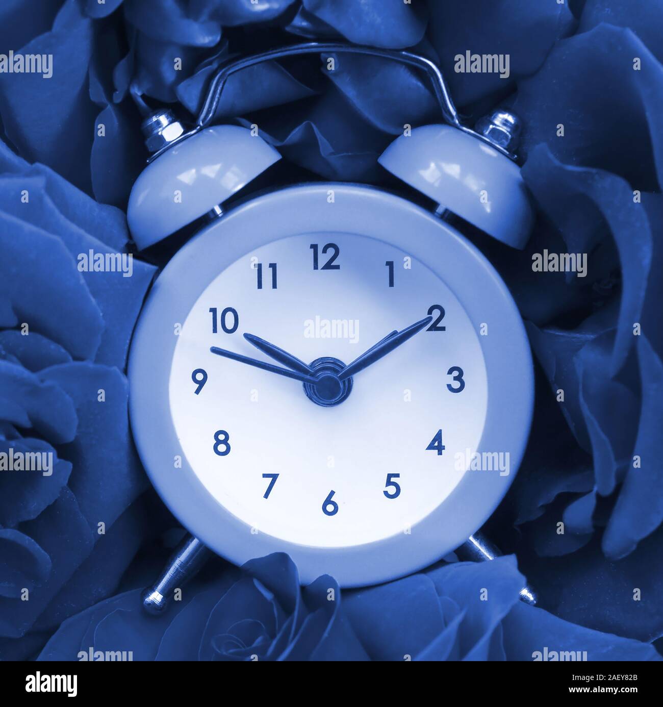 Little cute alarm clock surrounded by roses heads. Romantic scene and ...