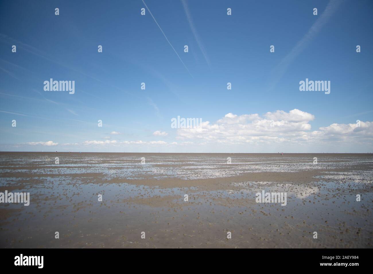 North Sea Coast Mudflat Stock Photo - Alamy