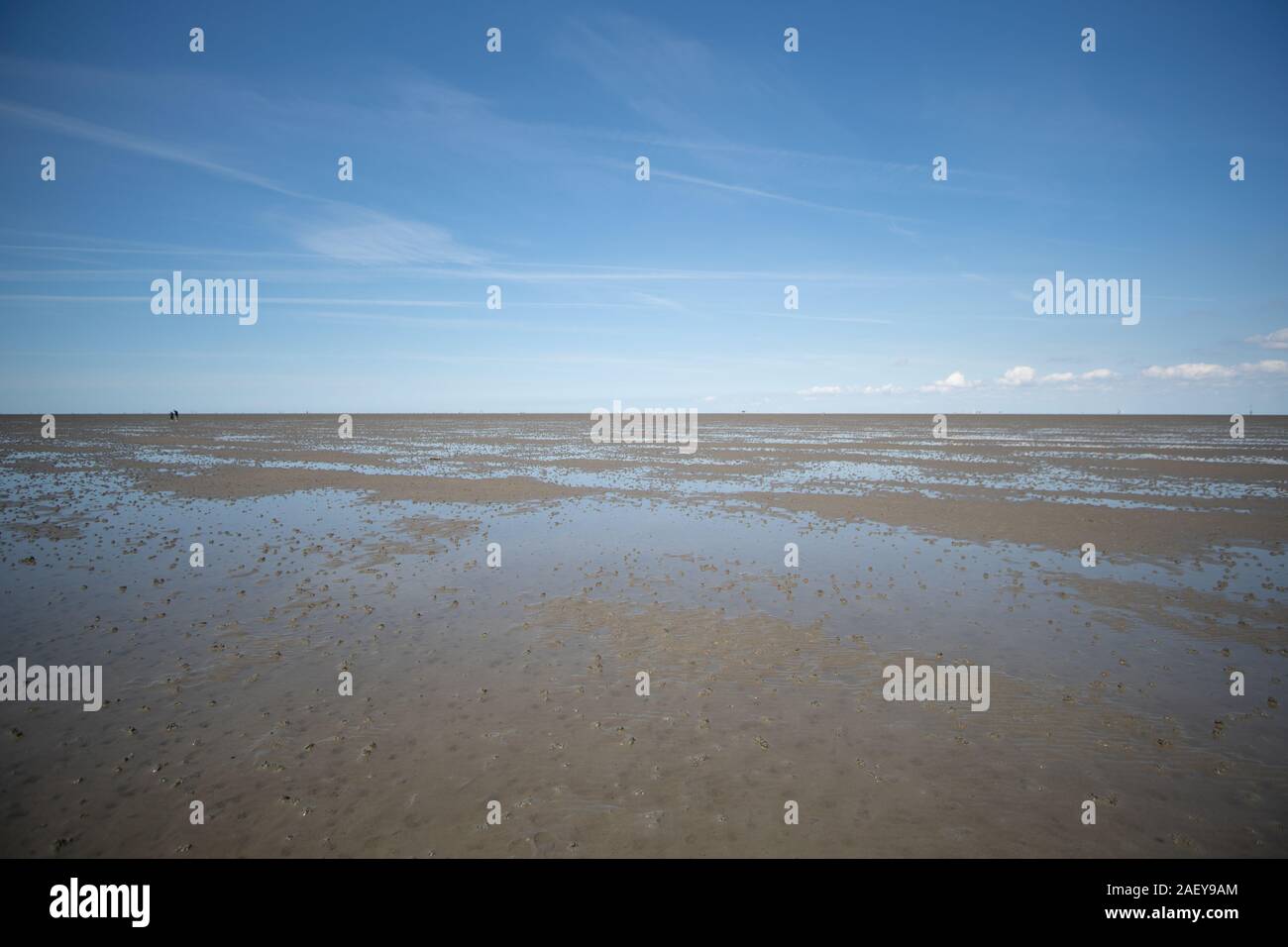 Beach mudflat hi-res stock photography and images - Alamy