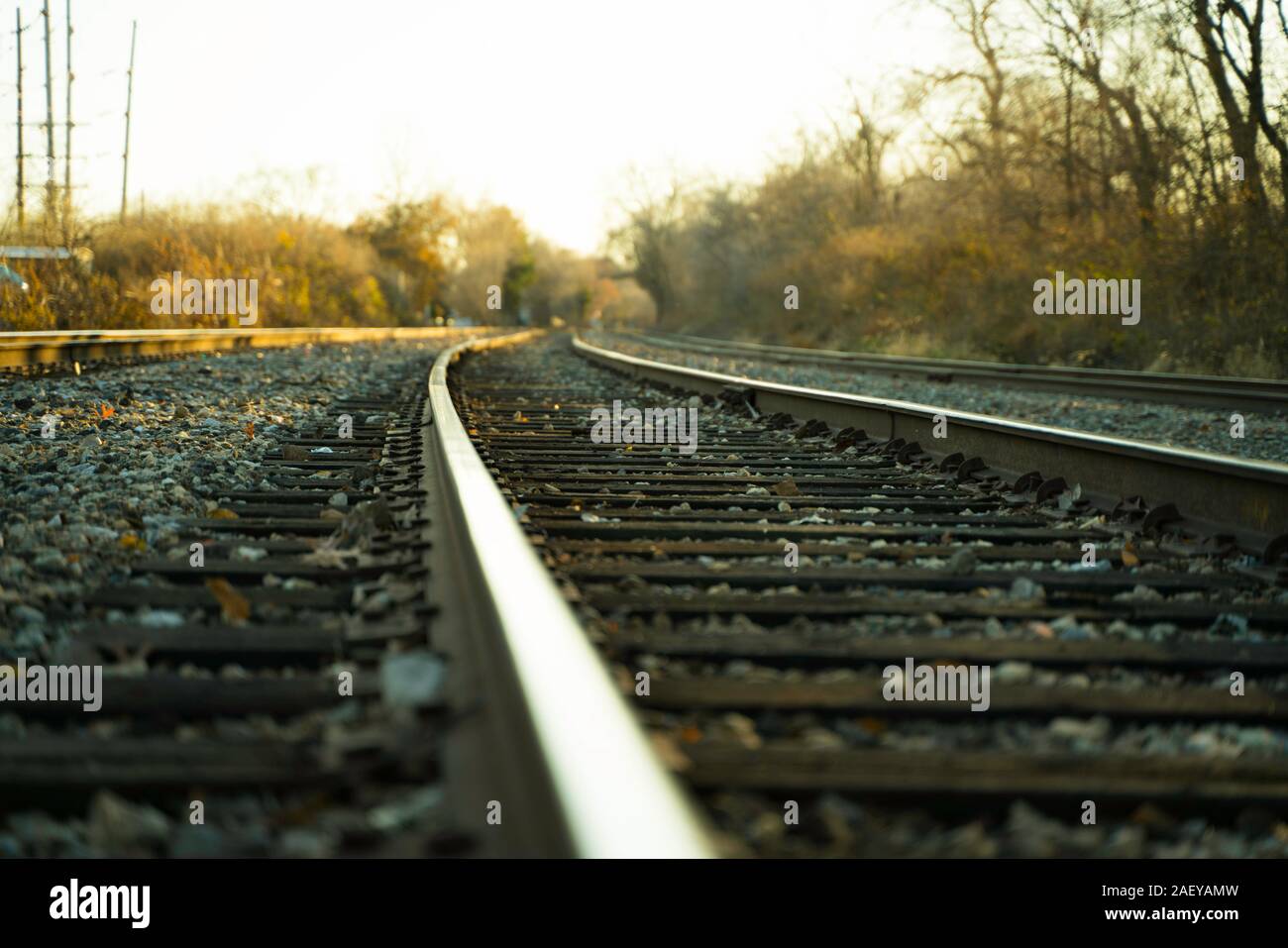 Sony world photography hi-res stock photography and images - Alamy