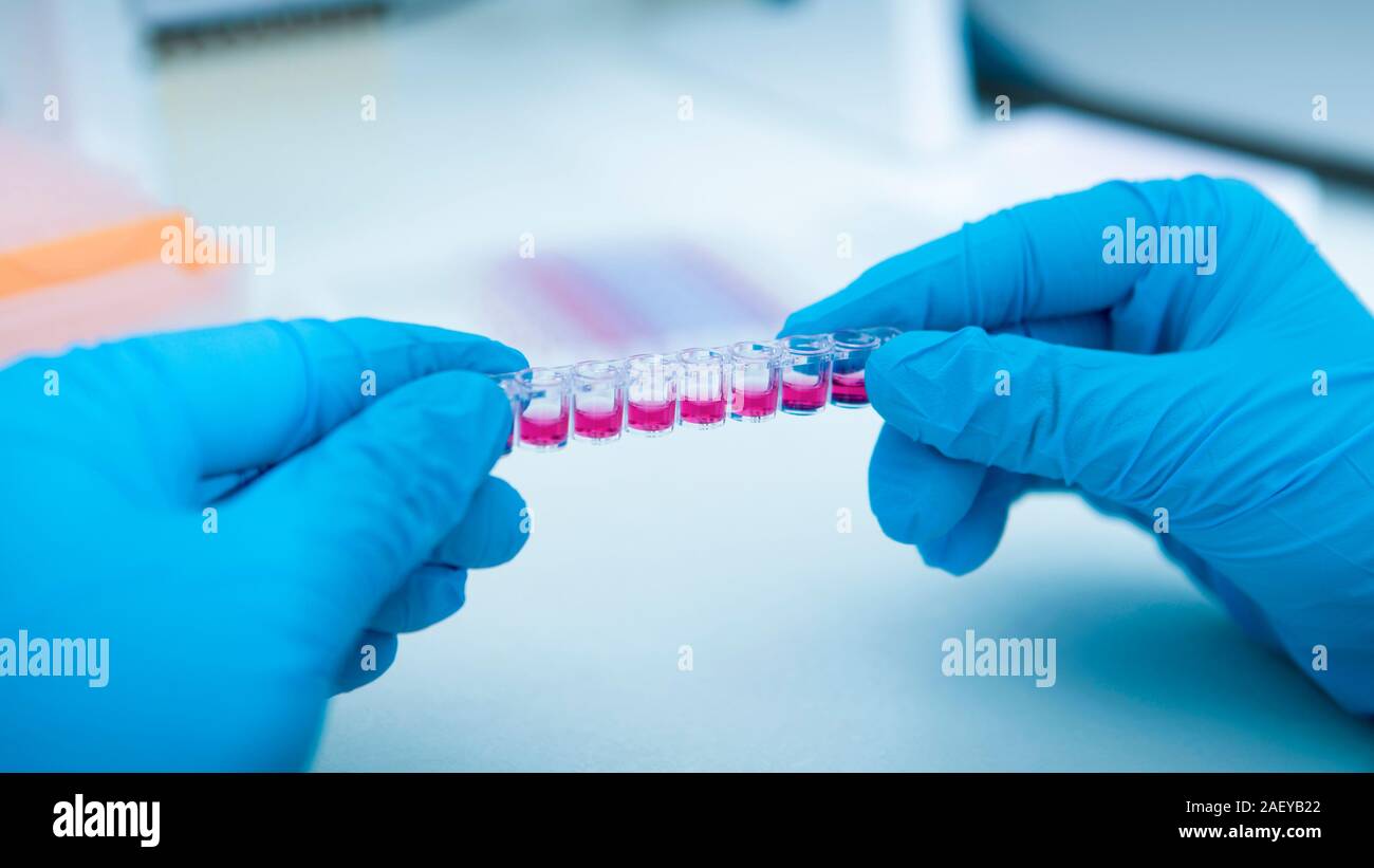 Test tubes with pink solution hi-res stock photography and images - Alamy