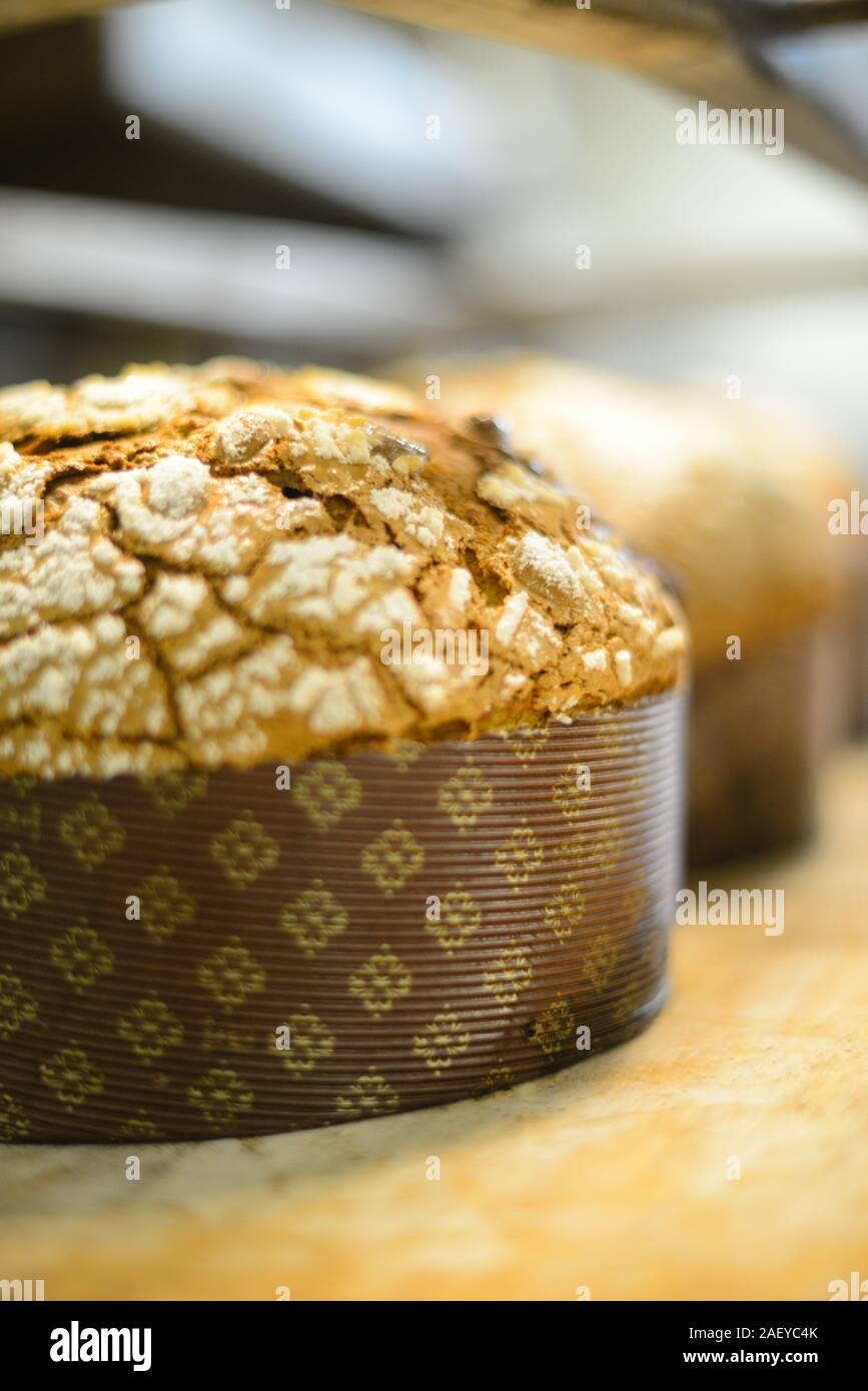 Panettone seasonal baking in milanese bakery for famous italian Season ...