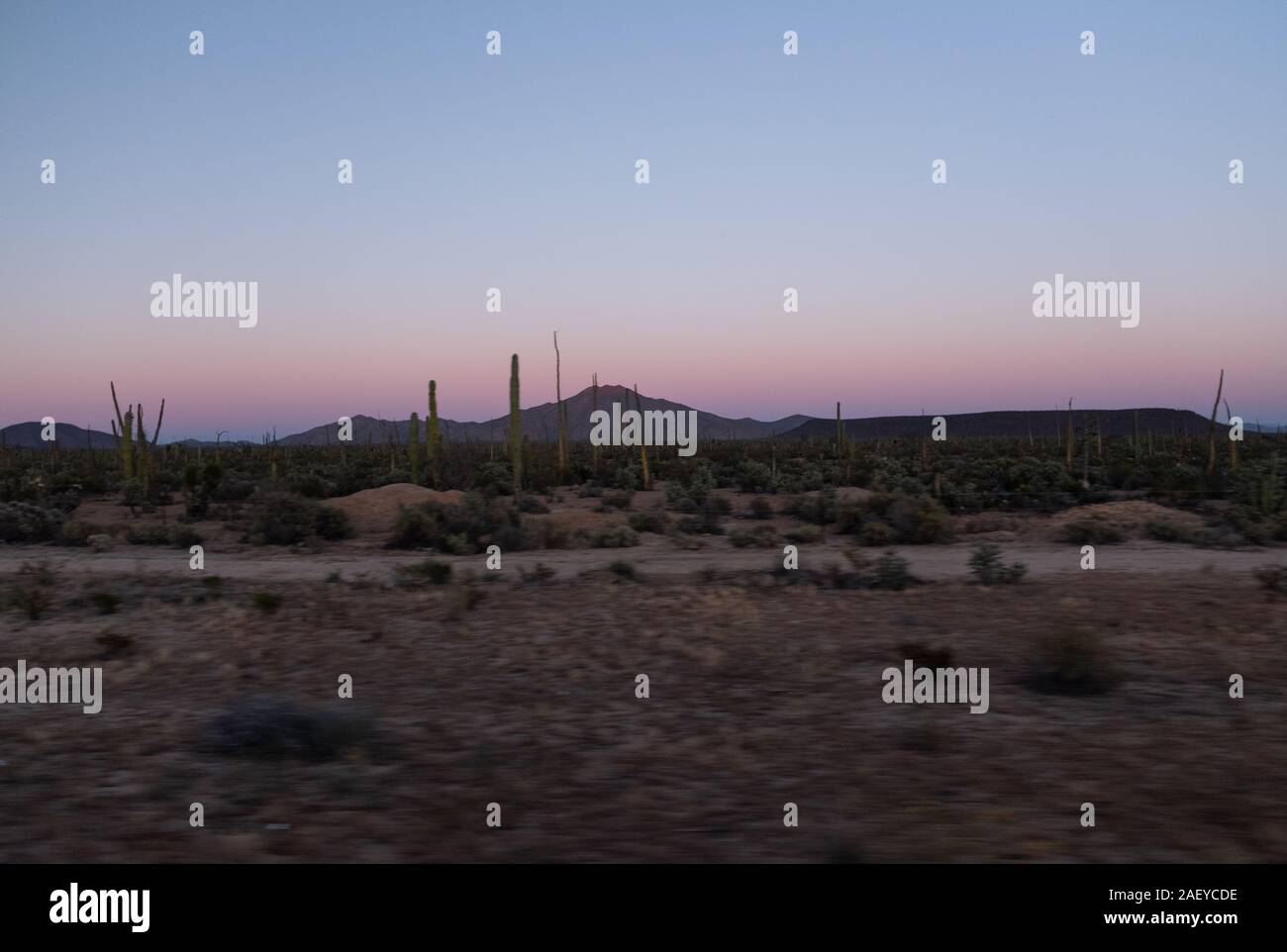 Desert on baja california hi-res stock photography and images - Alamy