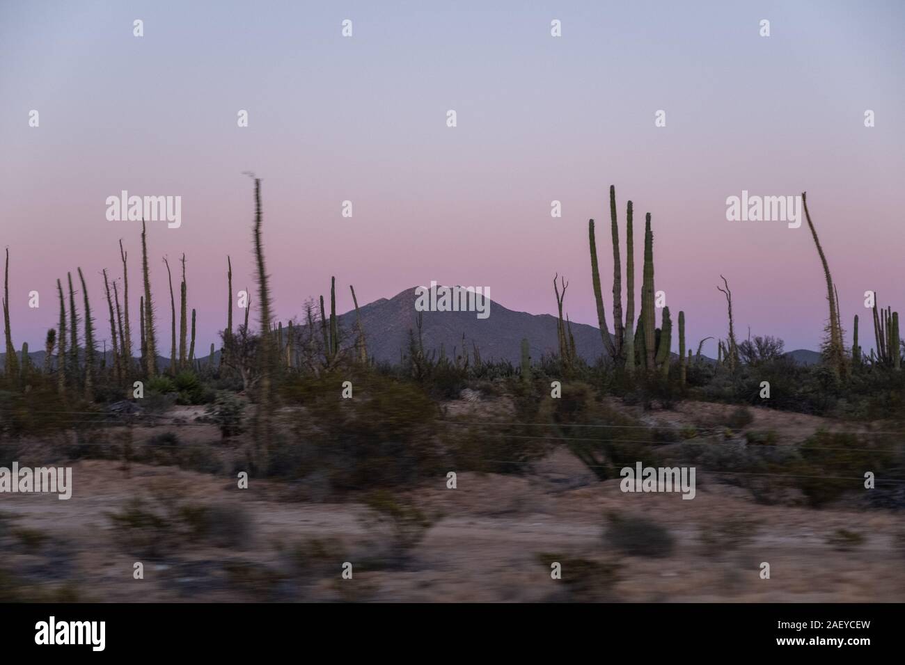 Desert landscape baja california mexico hi-res stock photography and ...