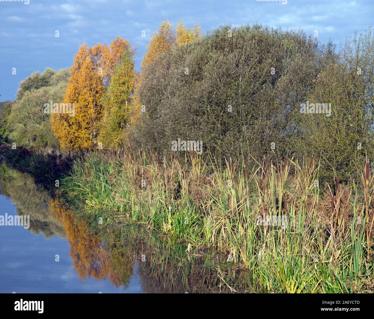 Autumn trees by canal hi-res stock photography and images - Alamy
