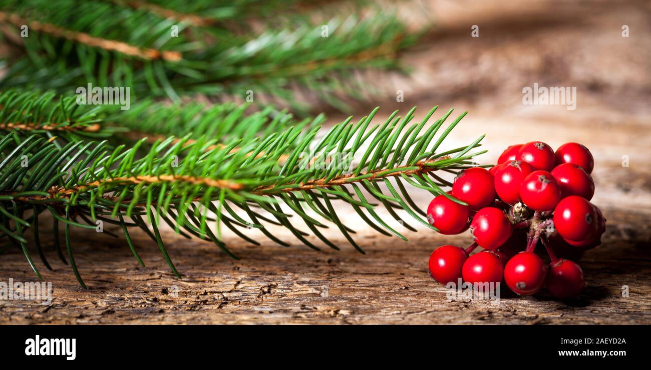 fir with mistletoe - close up Stock Photo - Alamy