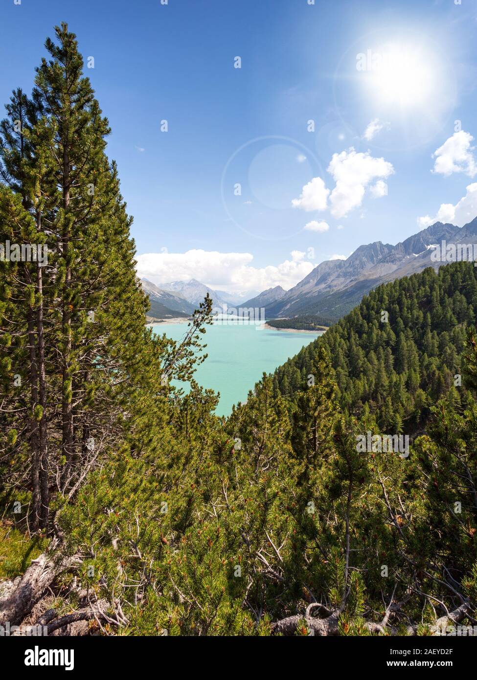 dam of Cancano - Bormio (IT Stock Photo - Alamy