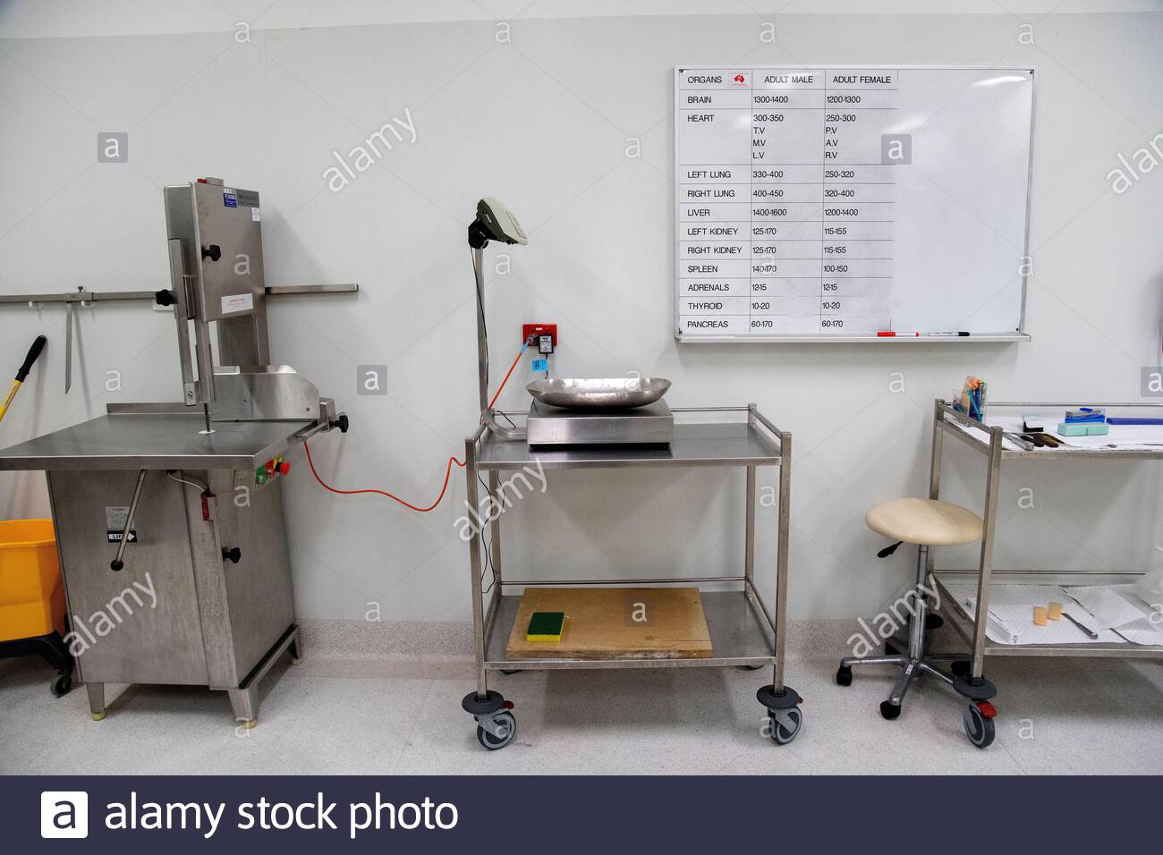 Morgue High Resolution Stock Photography and Images - Alamy