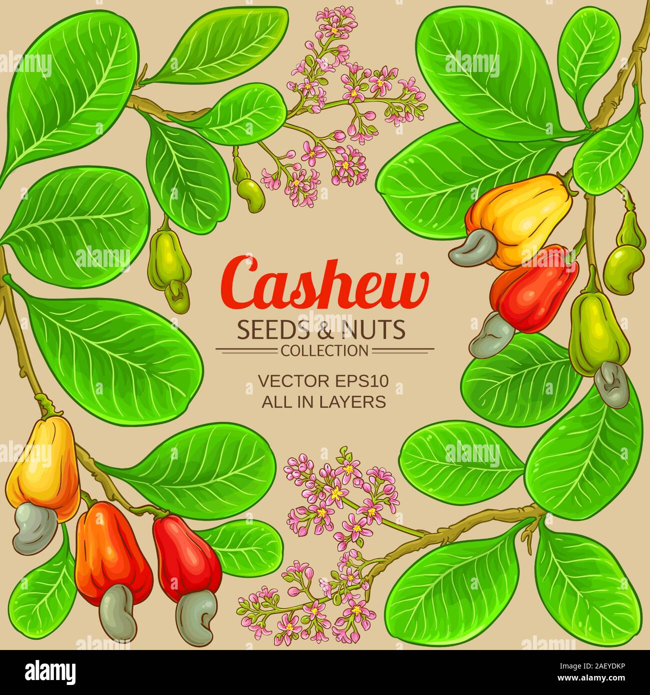 Frame set healthy food Stock Vector Images - Alamy